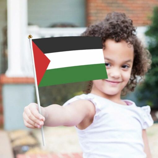 100pcs BULK BUY Small Palestine Handheld Flag - Free Gaza