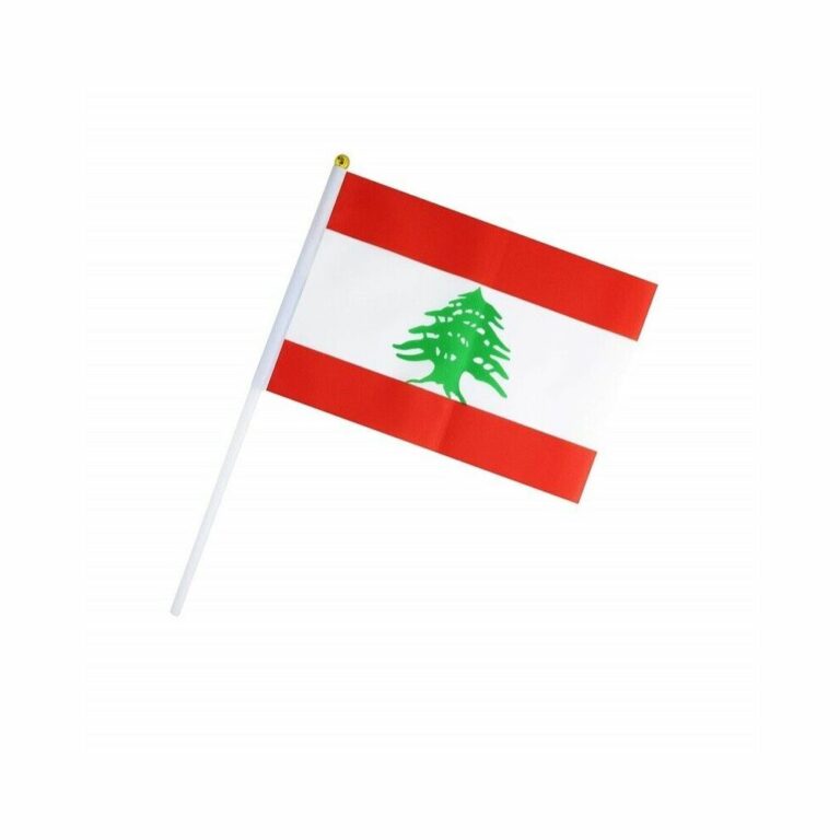 Lebanese Flag - Buy Lebanon Mini Stick Flags Online - Free Gaza